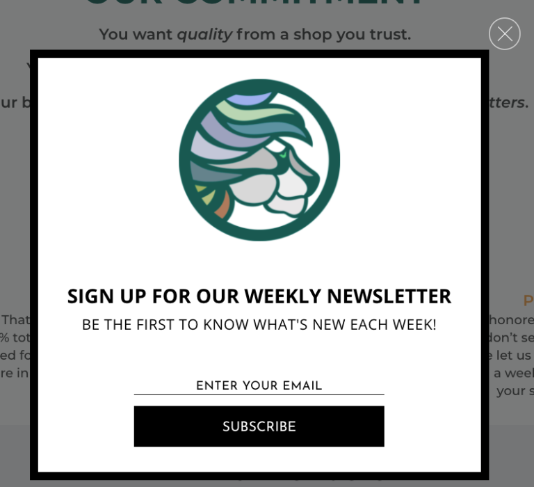30 Killer Exit Intent Popup Examples You Can Steal (& Best Practices)