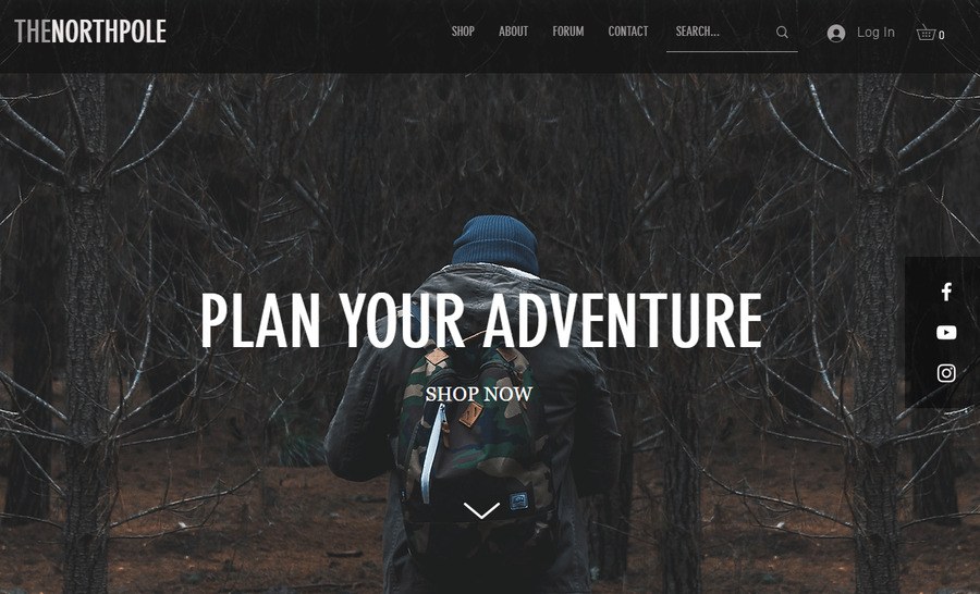 12 Best Wix Ecommerce Templates To Inspire You 2023 