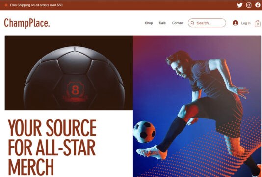 12 best Wix ecommerce templates to inspire you (2025)