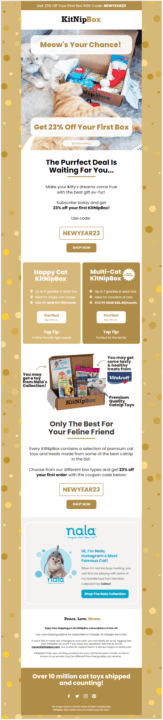 10 effective pet care email examples [inspiration + tips]