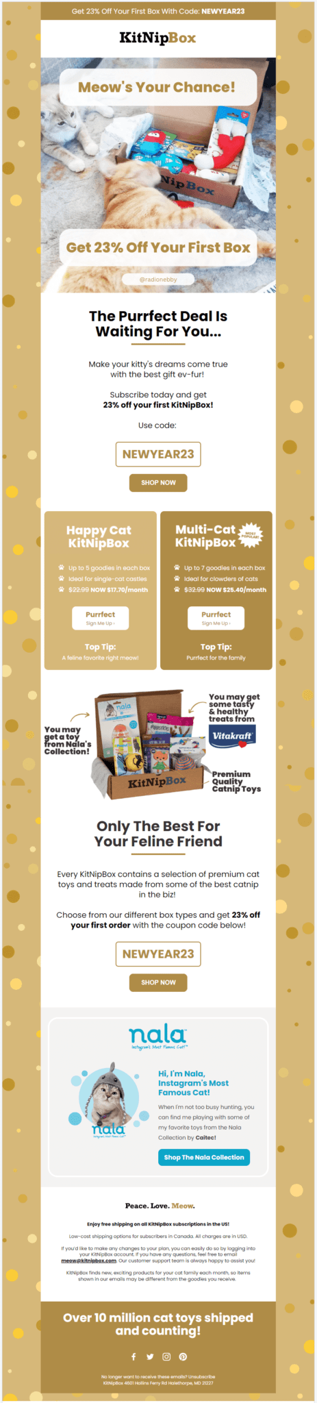 10 effective pet care email examples [inspiration + tips]