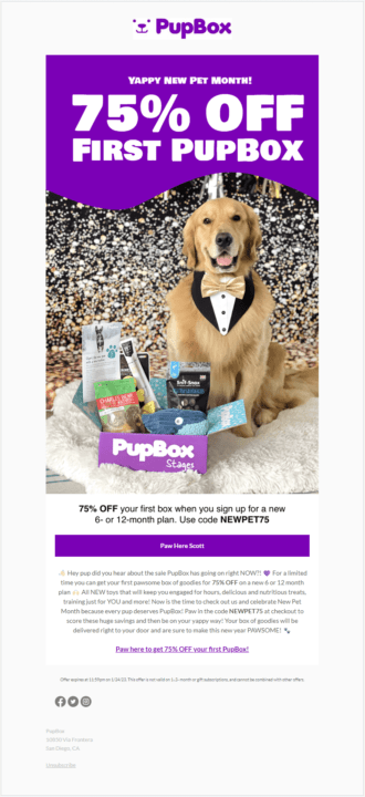 10 effective pet care email examples [inspiration + tips]