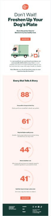 10 effective pet care email examples [inspiration + tips]