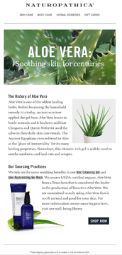 10 creative body care email campaigns to inspire your own