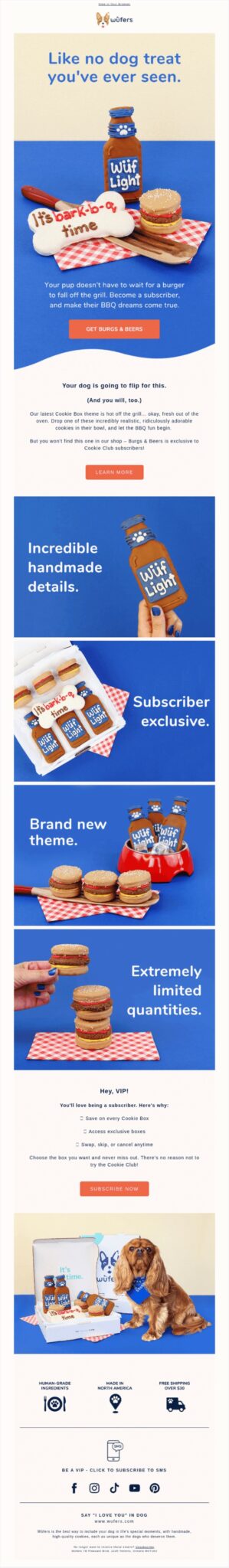 10 effective pet care email examples [inspiration + tips]