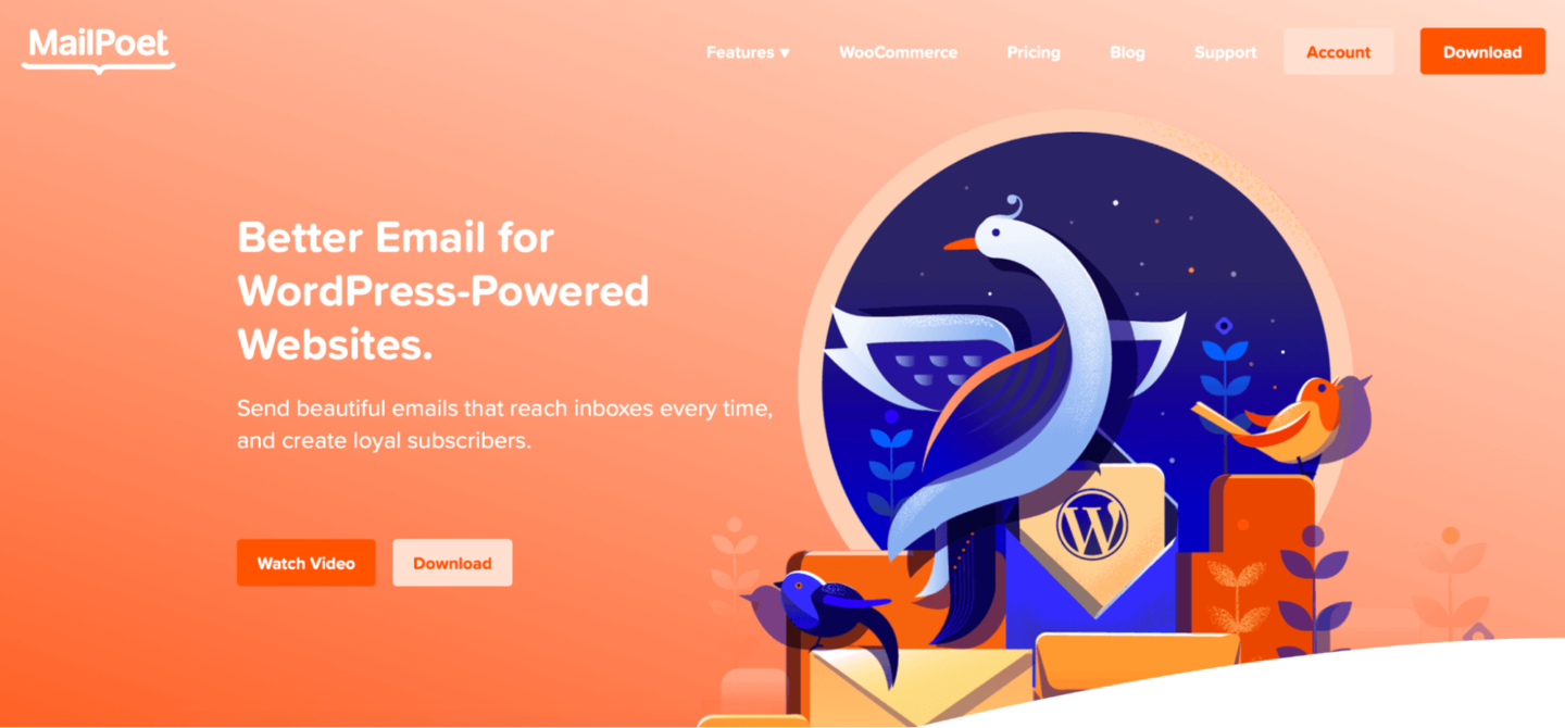9 Best WordPress Newsletter Plugins (Free & Paid)