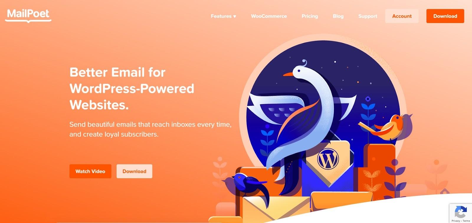 10 best WordPress email subscription plugins in 2024