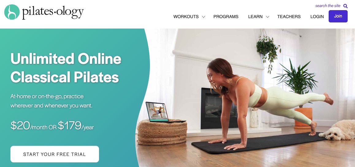 25 creative WordPress website examples for inspiration in 2024