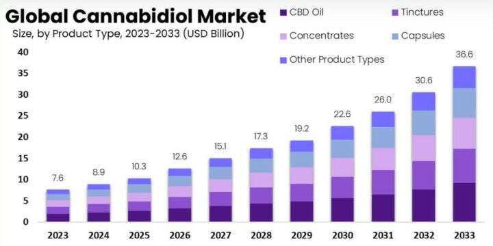 CBD marketing guide: From strategy to action in 2025