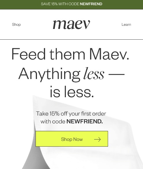 How to create a Shopify newsletter signup form in 2025