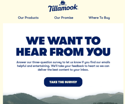 15 Survey Email Templates & Examples to Get More Feedback