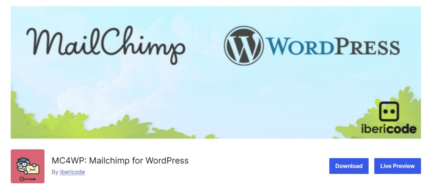 10 best WordPress email marketing plugins for 2025