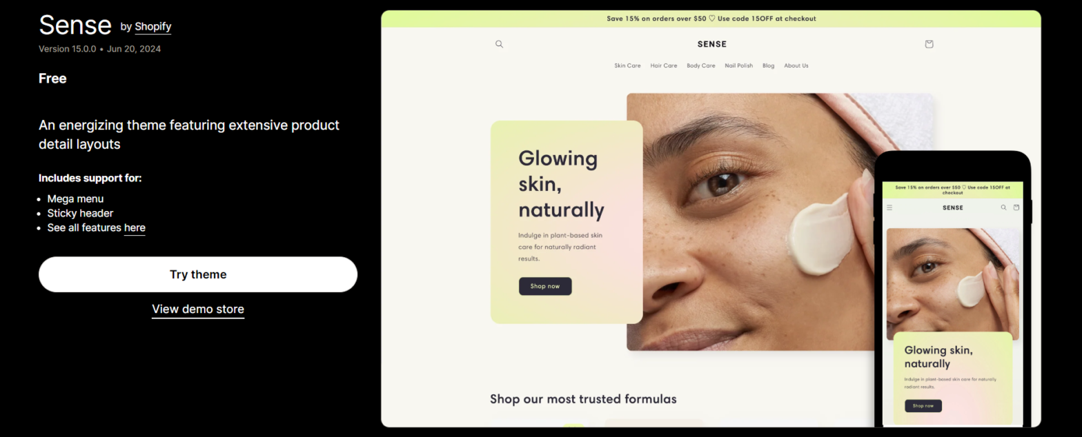 21 best Shopify themes in 2024 (free & paid)