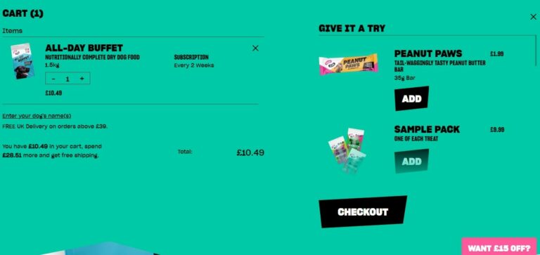 16 shopping cart website design examples [+takeaways]