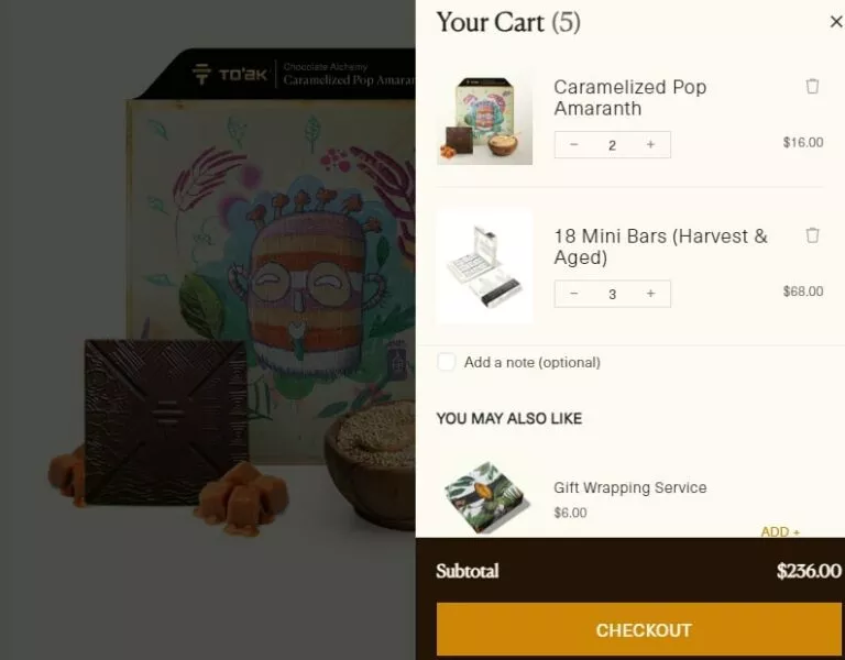 16 shopping cart website design examples [+takeaways]