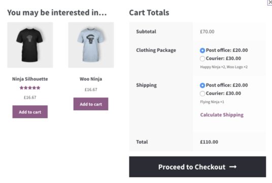 WooCommerce Shipping Calculators: The Complete Guide