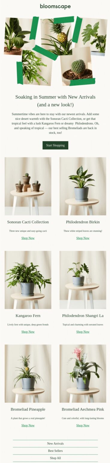 10 Creative New Arrivals Email Examples to Inspire You