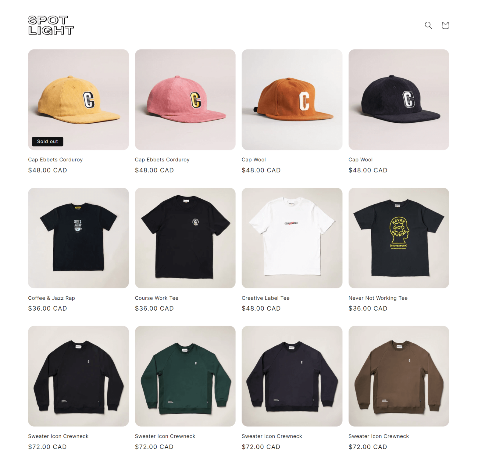 10 best Shopify themes in 2025 (free & paid)