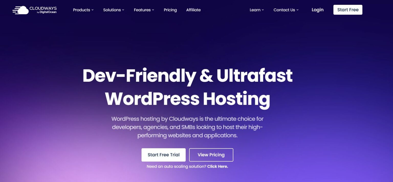 7 Cheap WordPress Hosting Providers [2025 ]: Pros & Cons