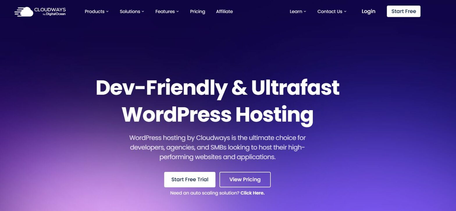 7 Cheap WordPress Hosting Providers [2025 ]: Pros & Cons