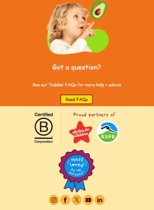 20 Newsletter Examples & Expert Tips