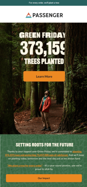 20 Newsletter Examples & Expert Tips