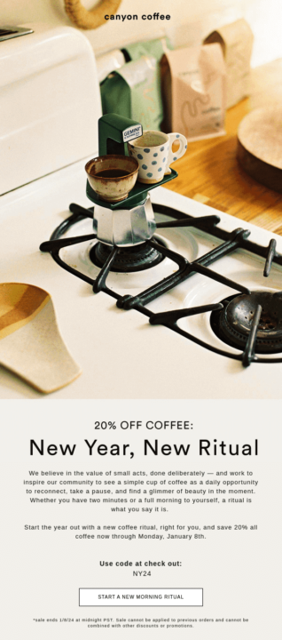 20+ New Year Email Examples for Ecommerce (2025)