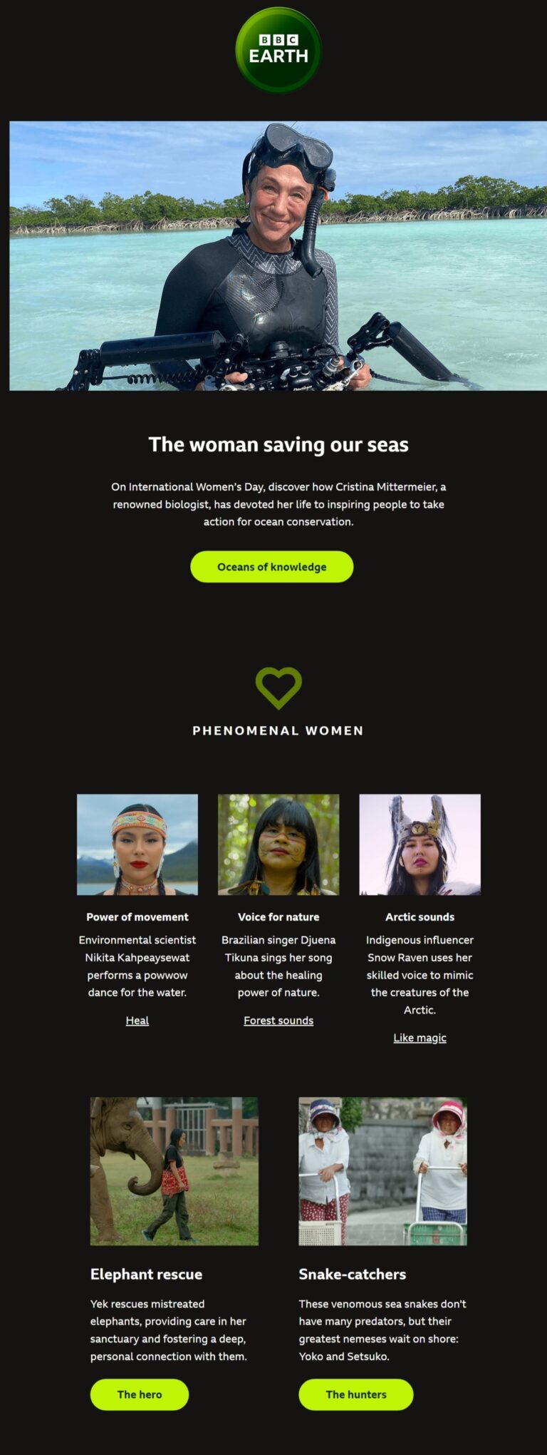 International Women's Day Email Guide + Examples & Messages