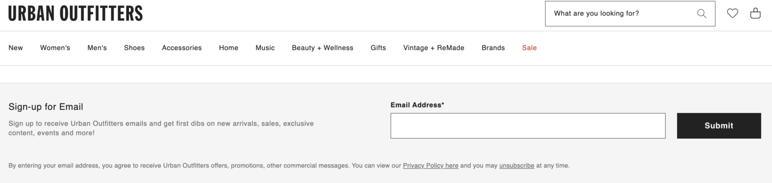 25 Newsletter Signup Examples That Convert in 2025