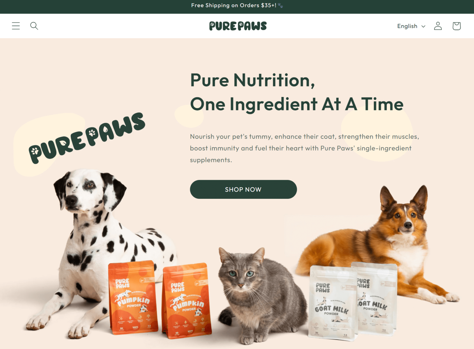 10 Best One-Product Shopify Store Examples & Expert Tips