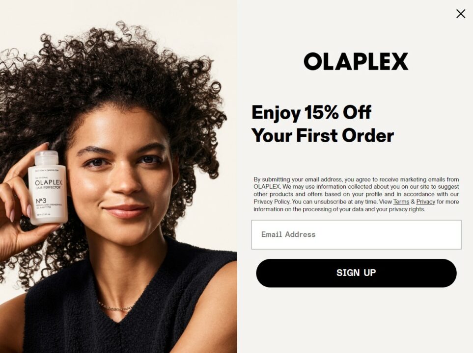 17 Signup Form Examples to Boost Conversions (2025)