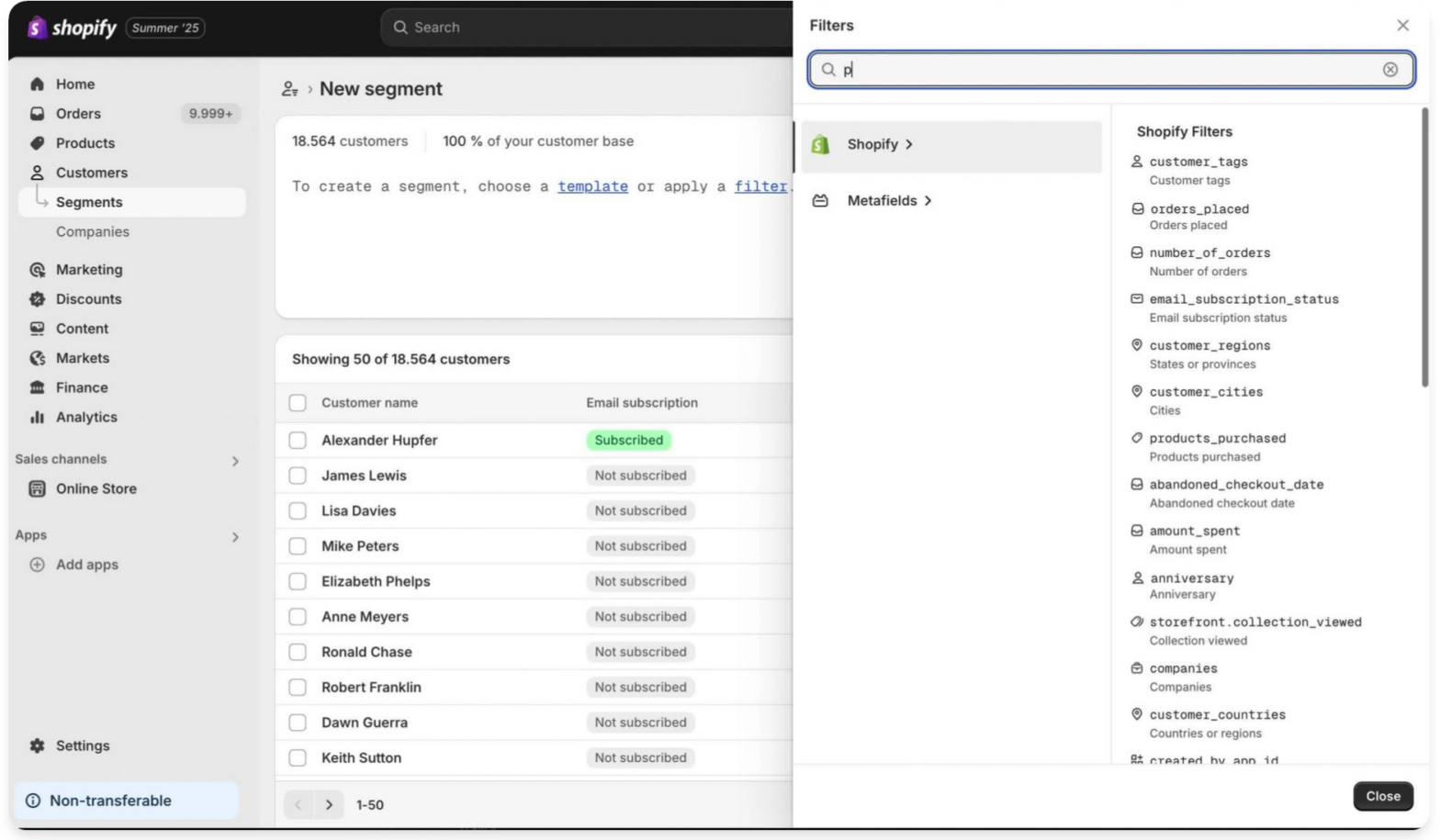 How to Segment Customers on Shopify (With Examples)
